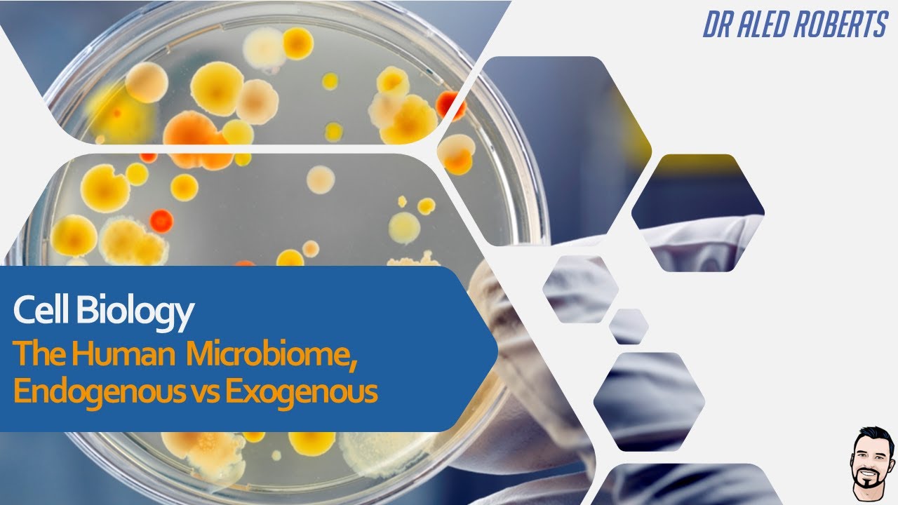The Human Microbiome: Endogenous vs Exogenous - YouTube