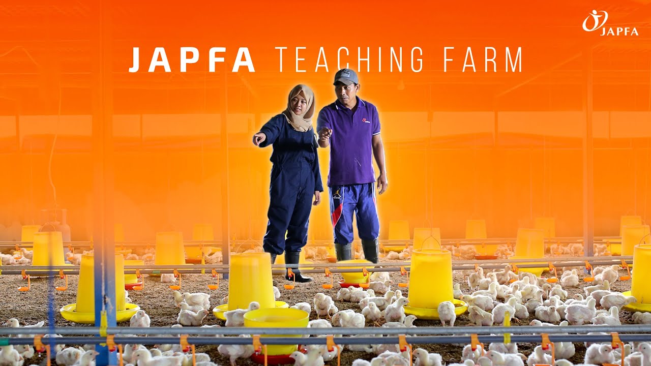 JAPFA Teaching Farm - YouTube