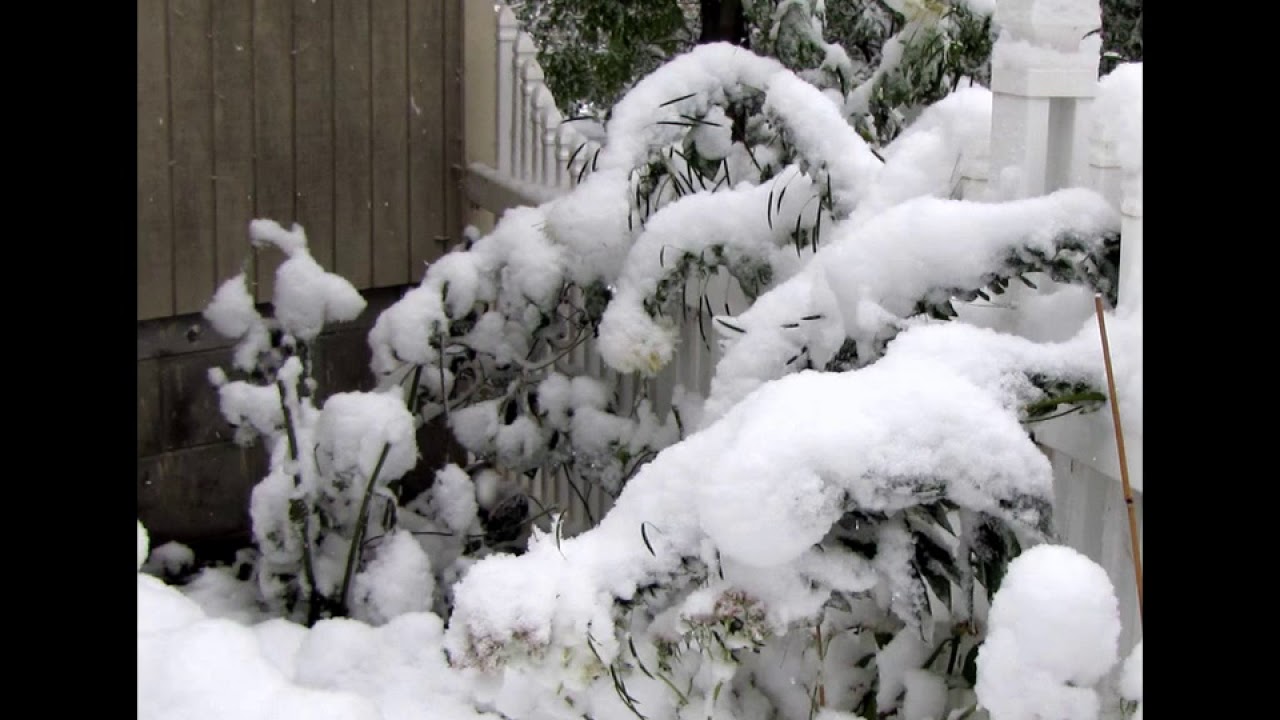 Nebraska's October Snow 2009 - YouTube