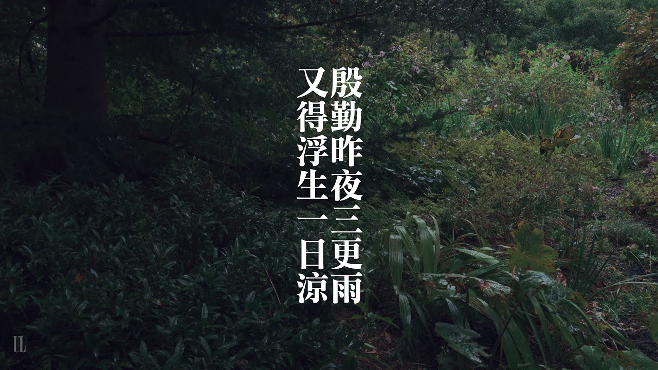 小雨中的花園 Nature Sounds, 4K , Useless Landscape #018 - YouTube