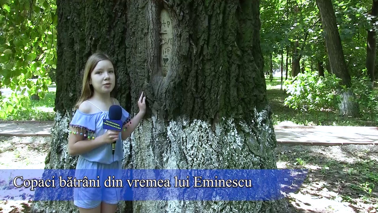 Copaci bătrâni din vremea lui Eminescu | #altfeldestiri - YouTube