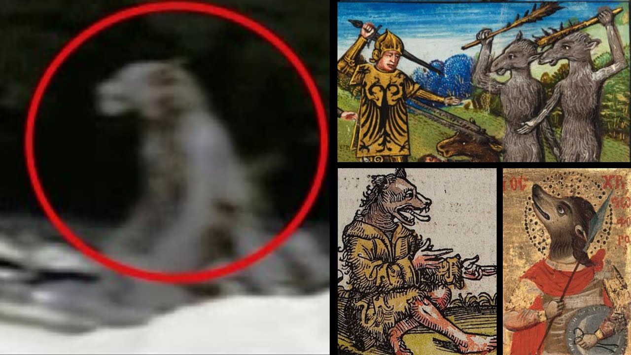 Evidencia Histórica de Cinocéfalos Raza Humanoide Con Cabeza de Perro ...