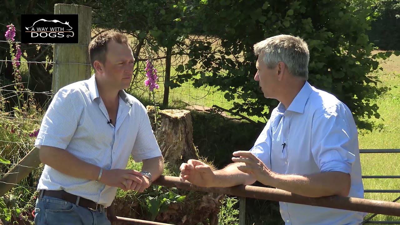 5 Sheepdog Trial Int'l Trial Champion Kevin Evans speaks with Paddy ...