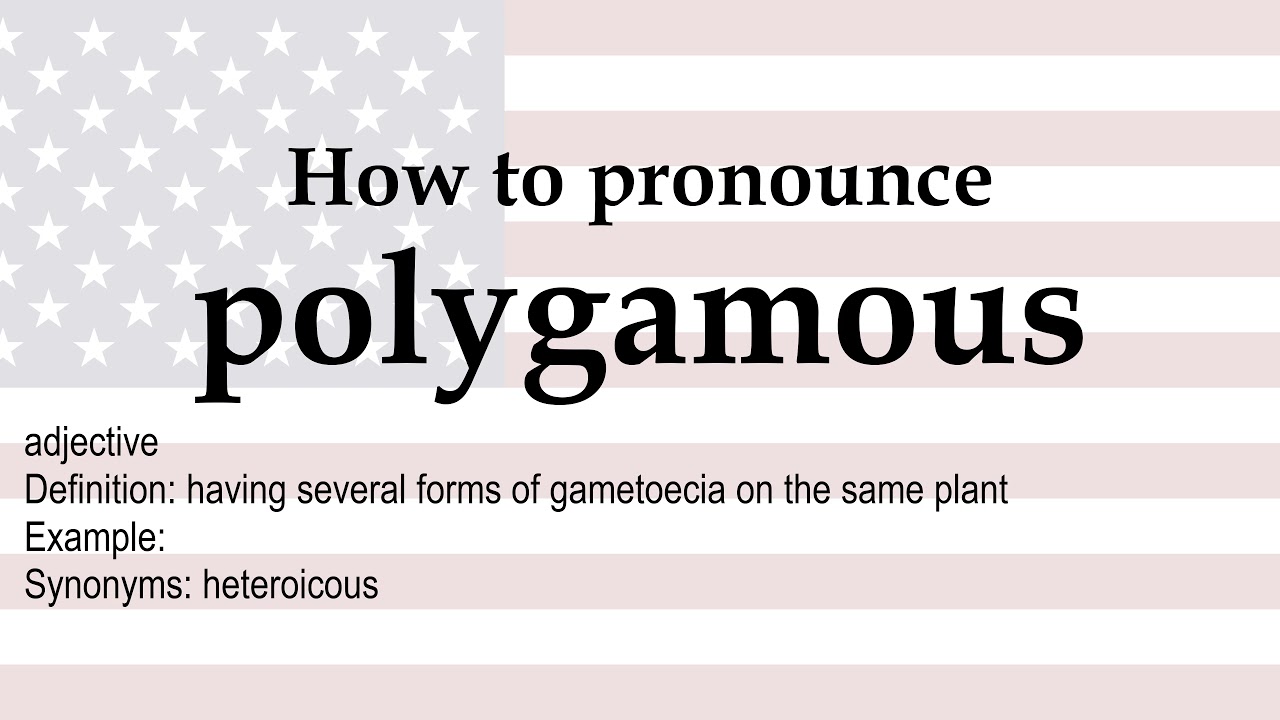 How to pronounce 'polygamous' + meaning - YouTube
