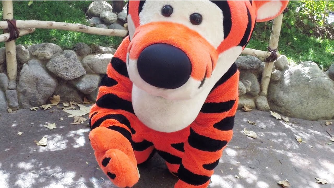 Baby Tyler Meets Tigger for the First TIme at Disneyland - YouTube