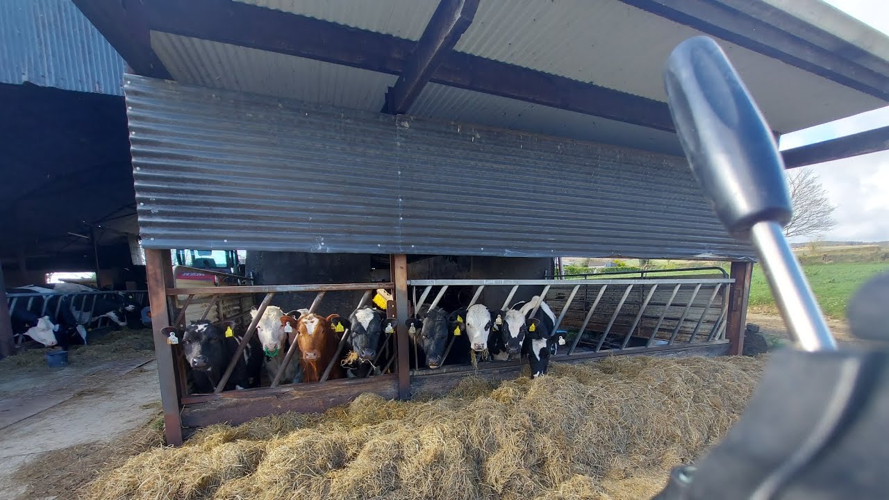 The day in the life of a farmer morning routine - YouTube