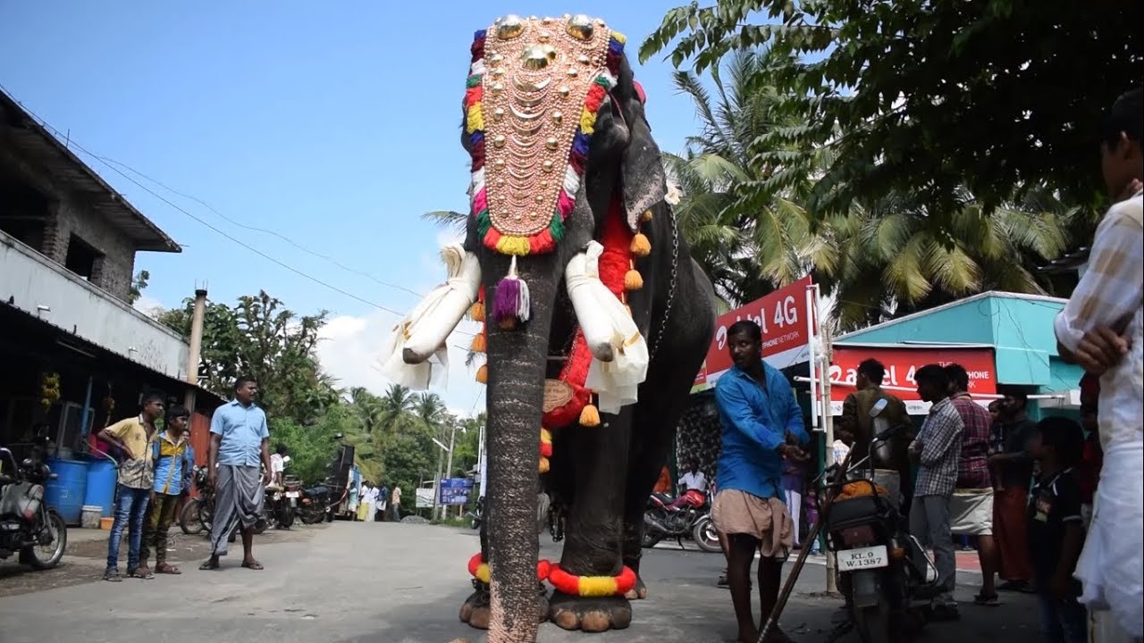 Kozhinjampara Palli Nercha (Chandanakudam) 2K18 Promo - YouTube
