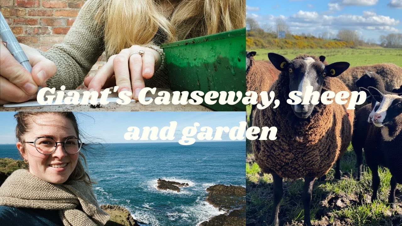 Giant's Causeway, seed planting and farm visit | Spring Knitting Vlog ...