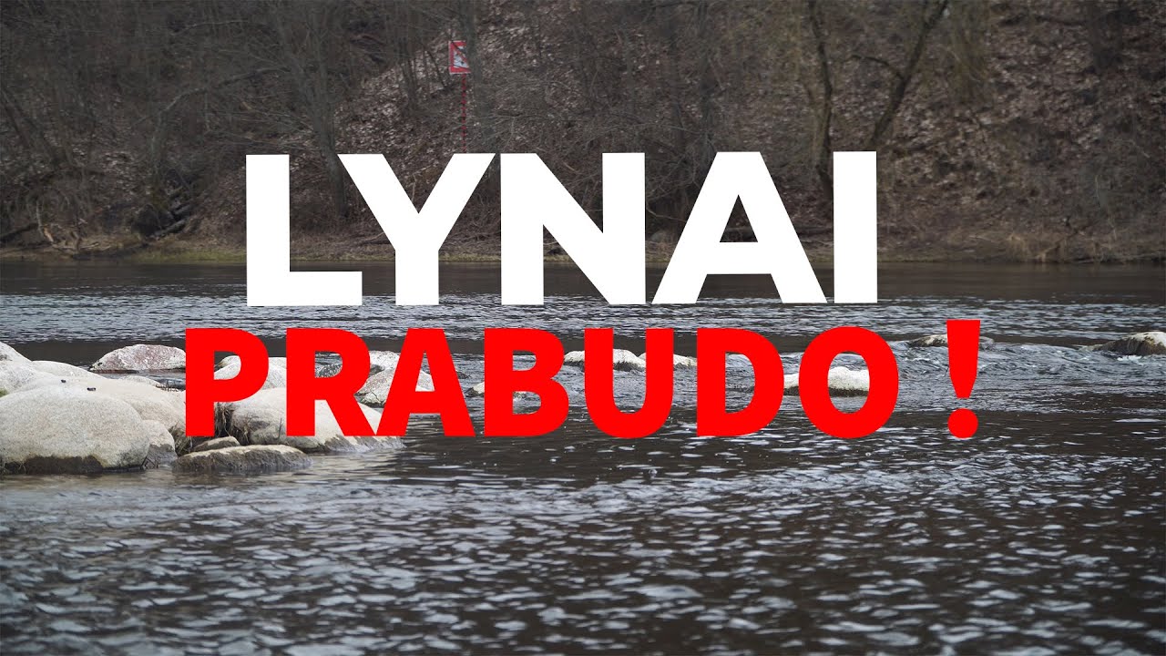 Lynai prabudo, šapalai įsisiautėjo –Pietų Lietuva aukštumoje Situacija ...