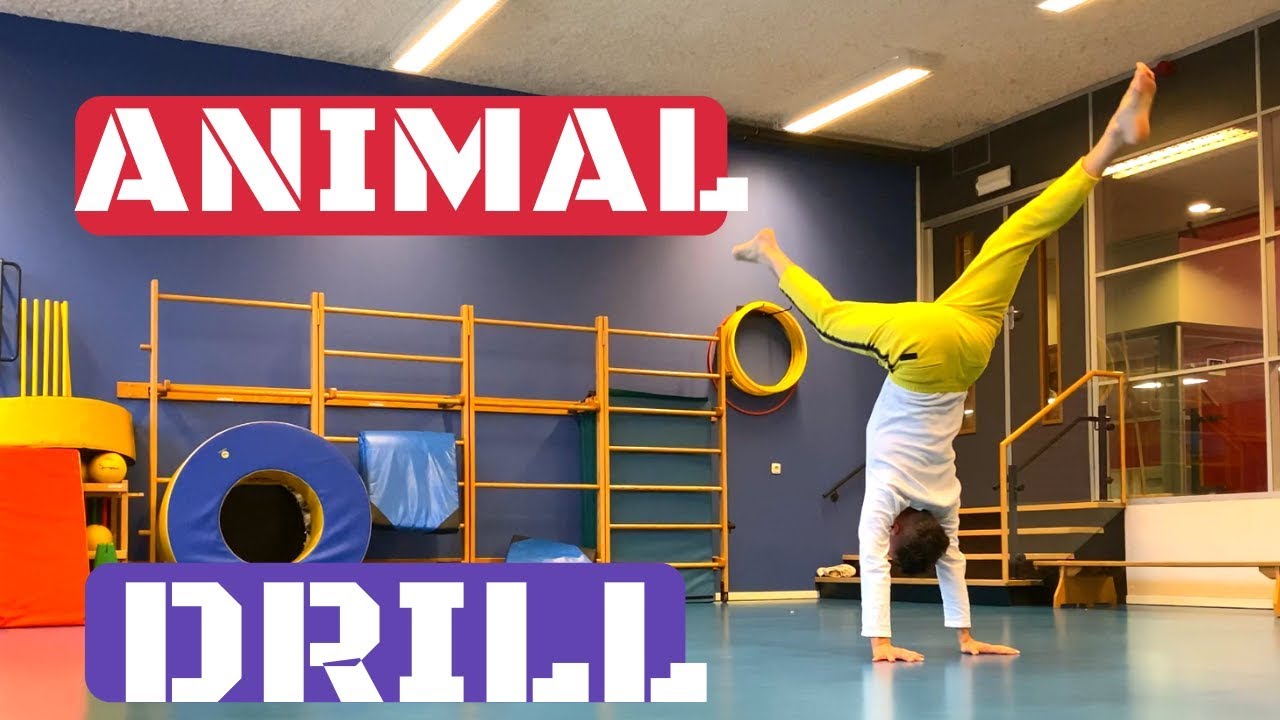 SCORPION CAPOEIRA ANIMAL WALK - YouTube