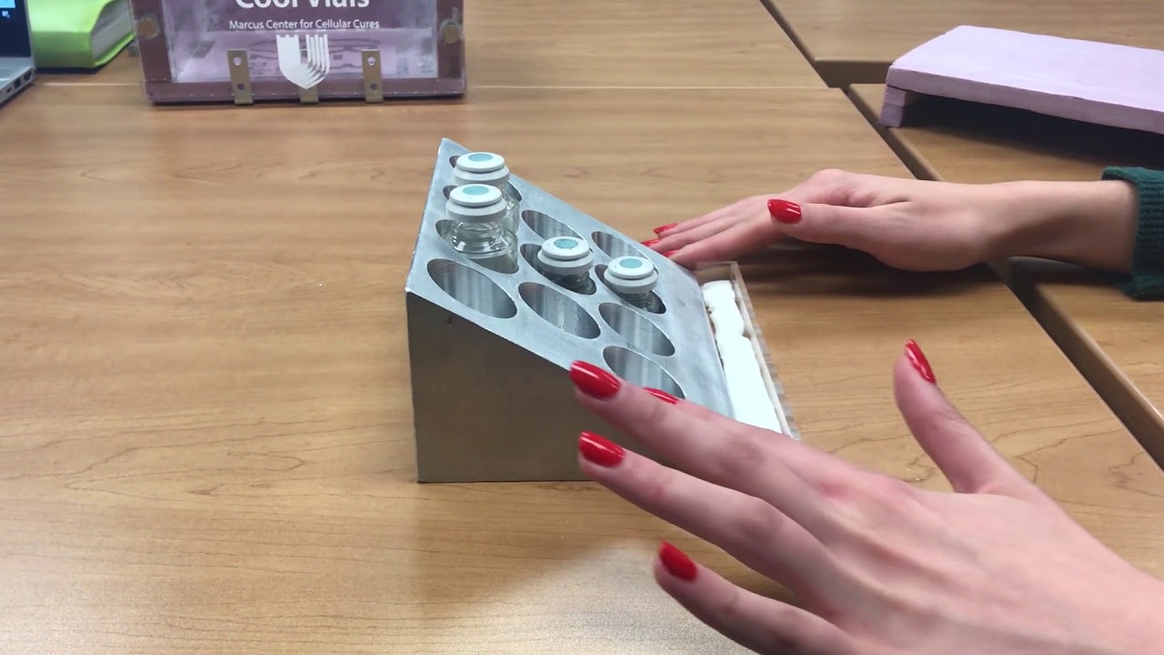 Team Cool Vials - Duke EGR 101 - YouTube