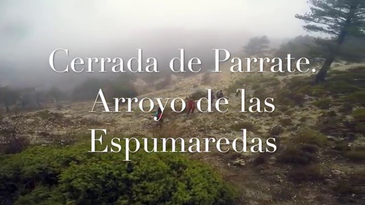 Cerrada de Parrate (Arroyo de las Espumaredas). J. Cózar - YouTube