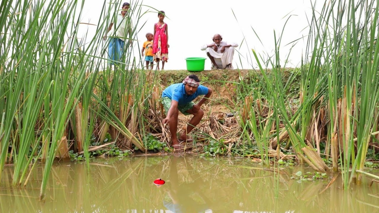 Fishing Video | Skillful boy fishing in village pond using hook and ...