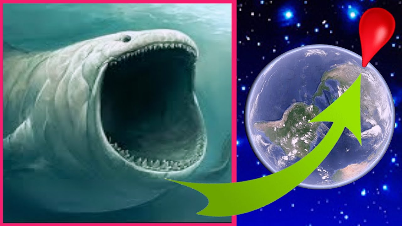 Bloop 😱 Fantastic Big Real Found On Google Earth - YouTube