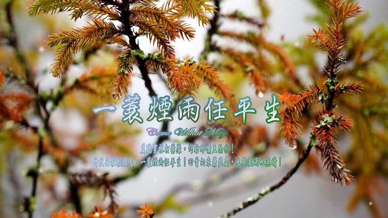 Chinese sleeping relaxing peaceful - relaxing, sleeping, chinese ...