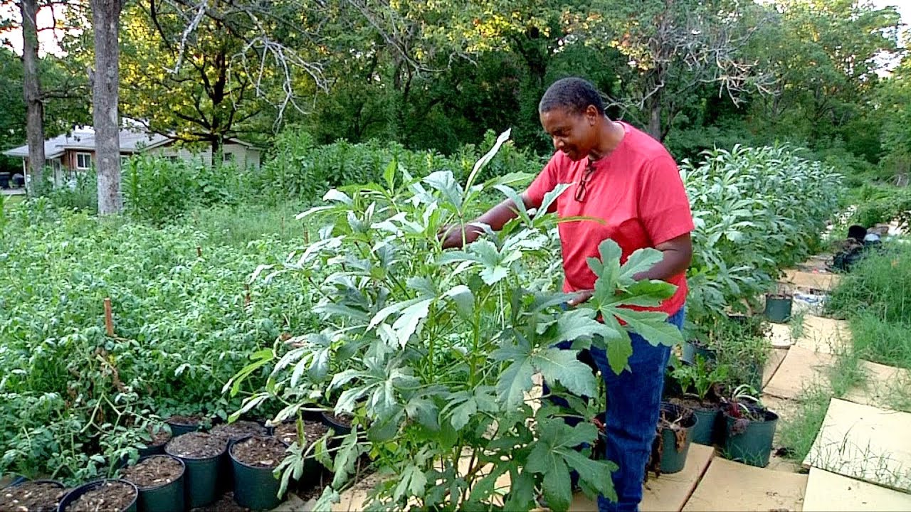 Reggie's Veggies - YouTube