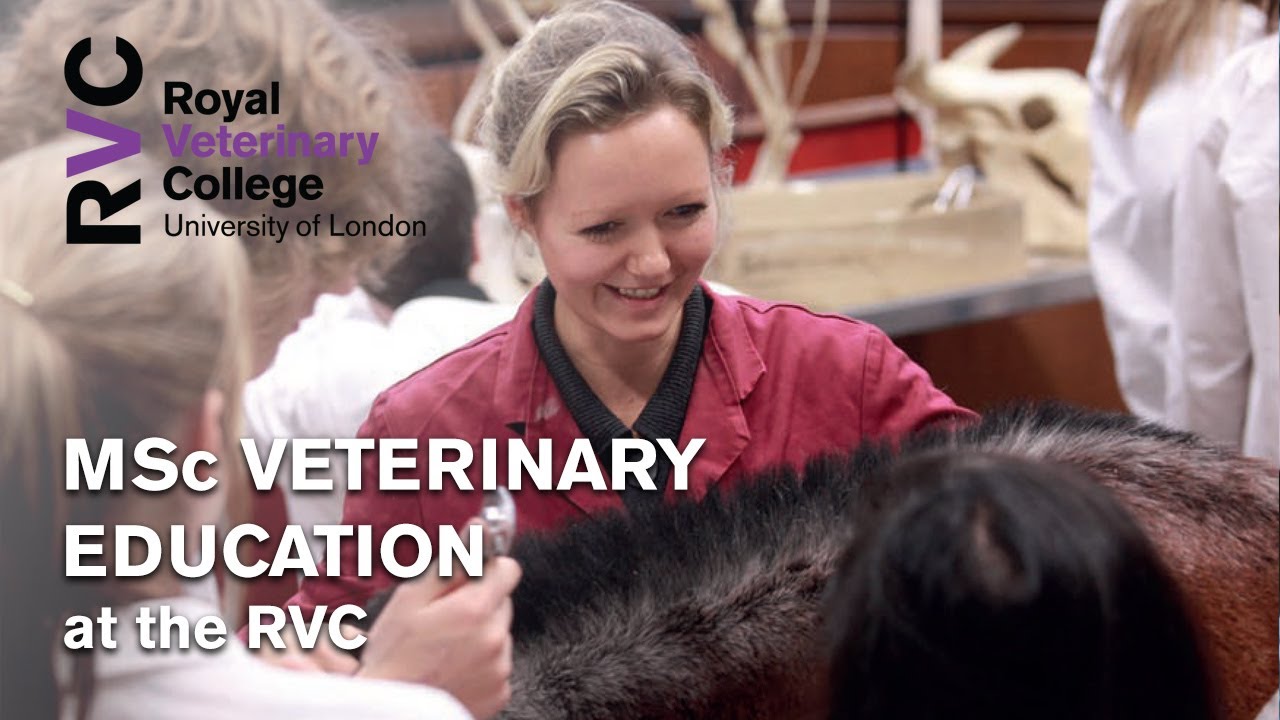 MSc Veterinary Education at the RVC - Professor Stephen May - YouTube