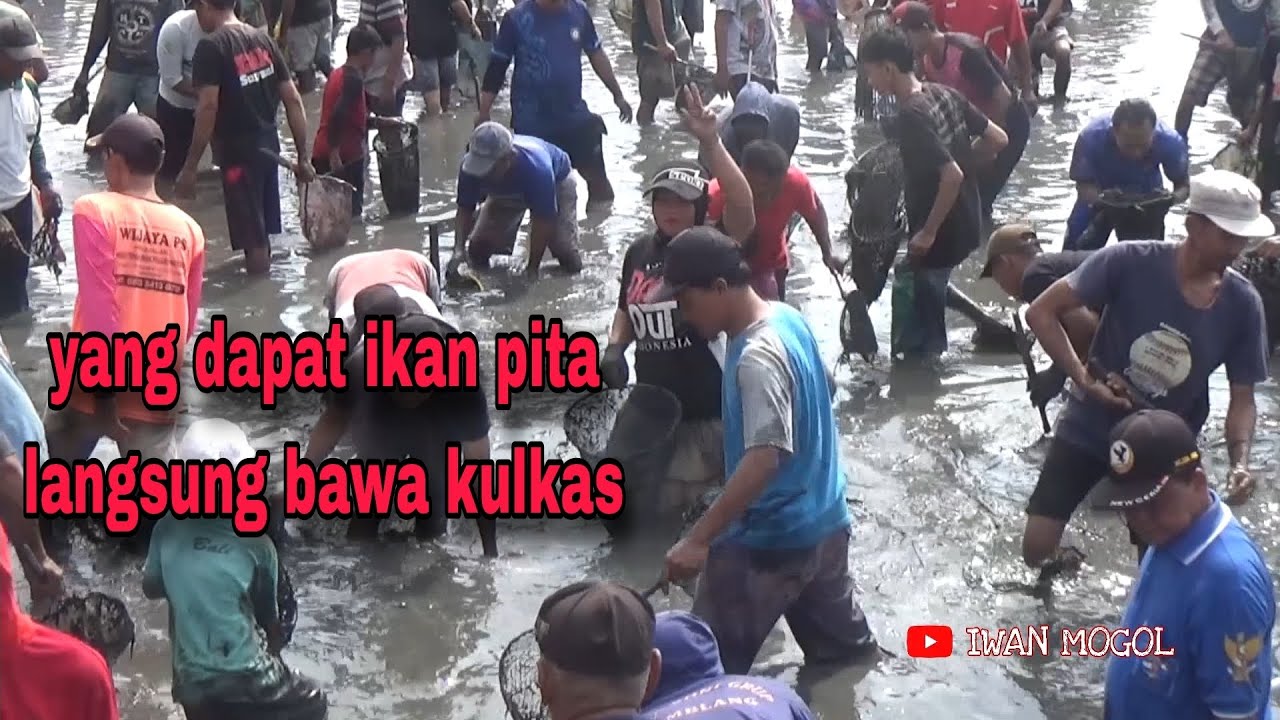 Festival memet ikan lele di kelurahan bulakan sukoharjo 1 juni 2025 ...