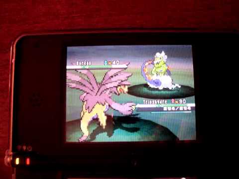 Première rencontre avec Boreas (Tornadus) shiny sur cartouche noire le ...
