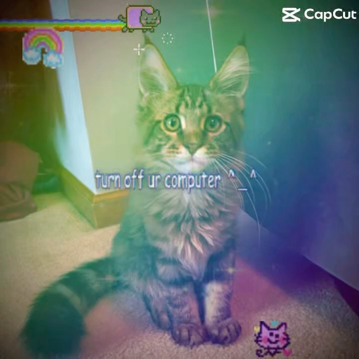 Y2K :D #cute #cat #furry #therian #therian - YouTube