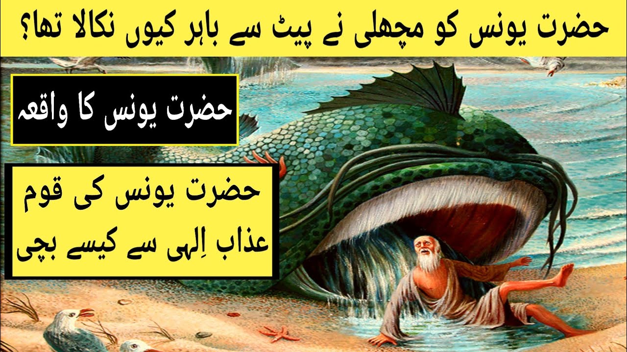 Hazrat Younus ka waqia | Hazrat Younus Story in Urdu | PAK FR TV | Faisal Rasheed - YouTube