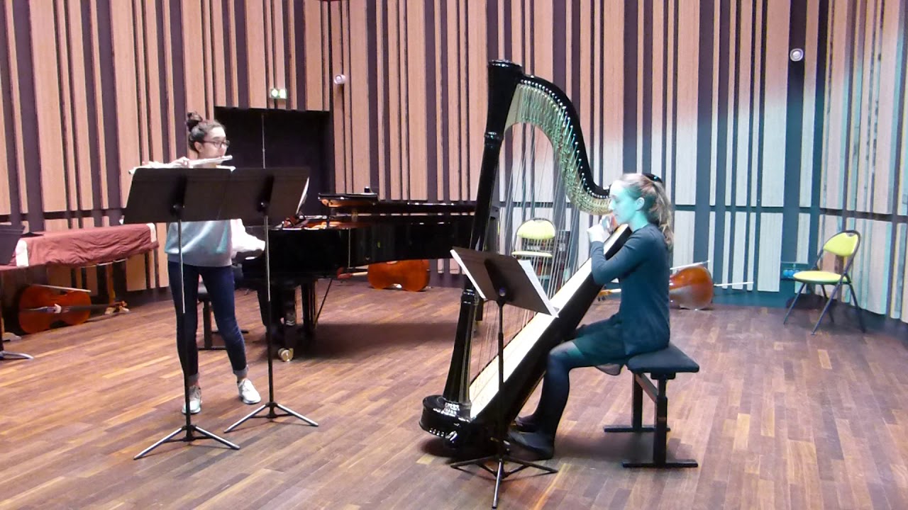 Concerto pour flûte et harpe, Mozart, 2e mouvement - YouTube
