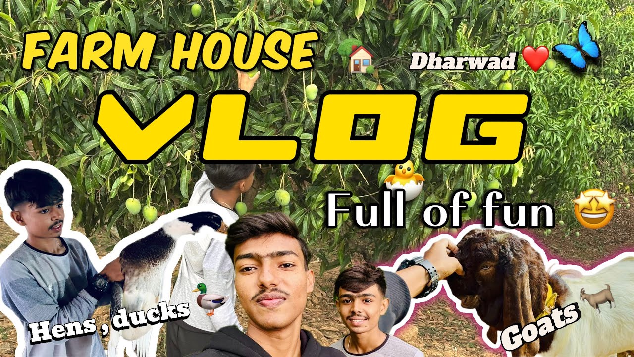 Farm house vlog | ducks,hens,goats | hubli Dharwad | #hubli #vlog # ...