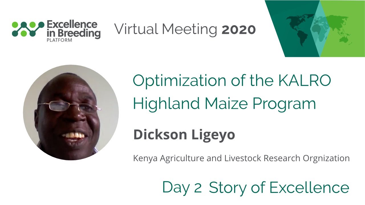Optimization of the KALRO Highland Maize Program (Story of Excellence ...