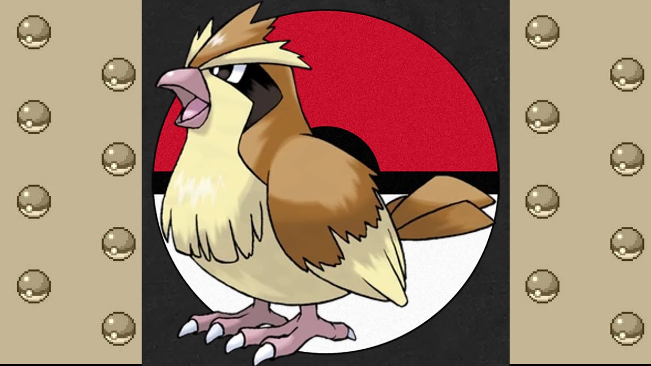 Pokémon Red - Pidgey playthrough - YouTube