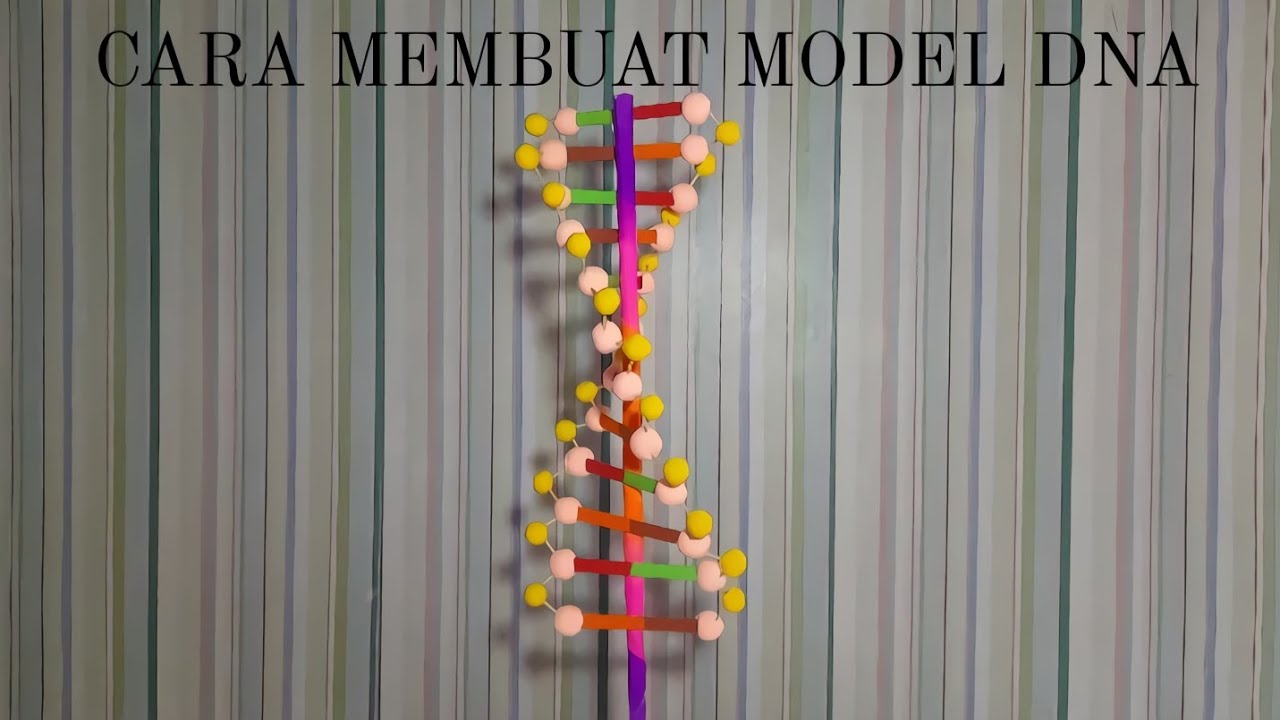 CARA MEMBUAT MODEL DNA - YouTube