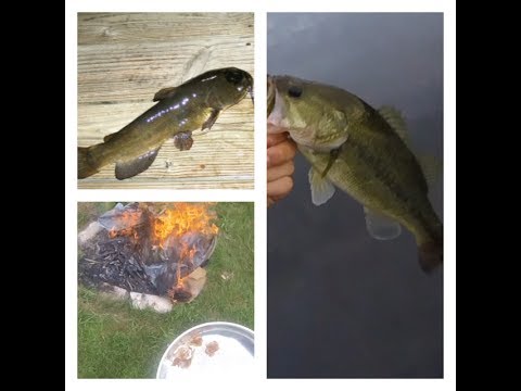 Fishing For Bullhead Catfish (catch and cook) - YouTube