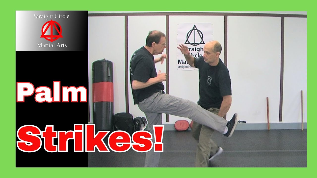 How to throw SHORT, SNEAKY palm strikes. - YouTube