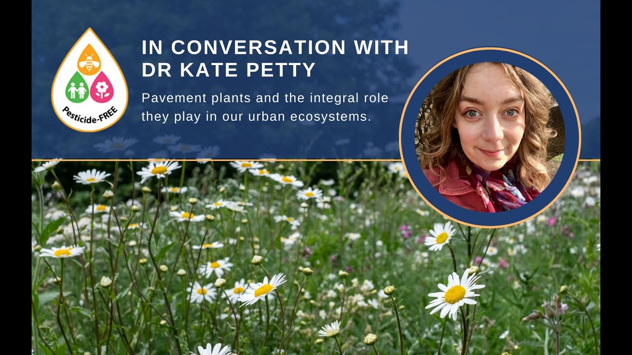 Dr Kate Petty in conversation with PAN UK - YouTube