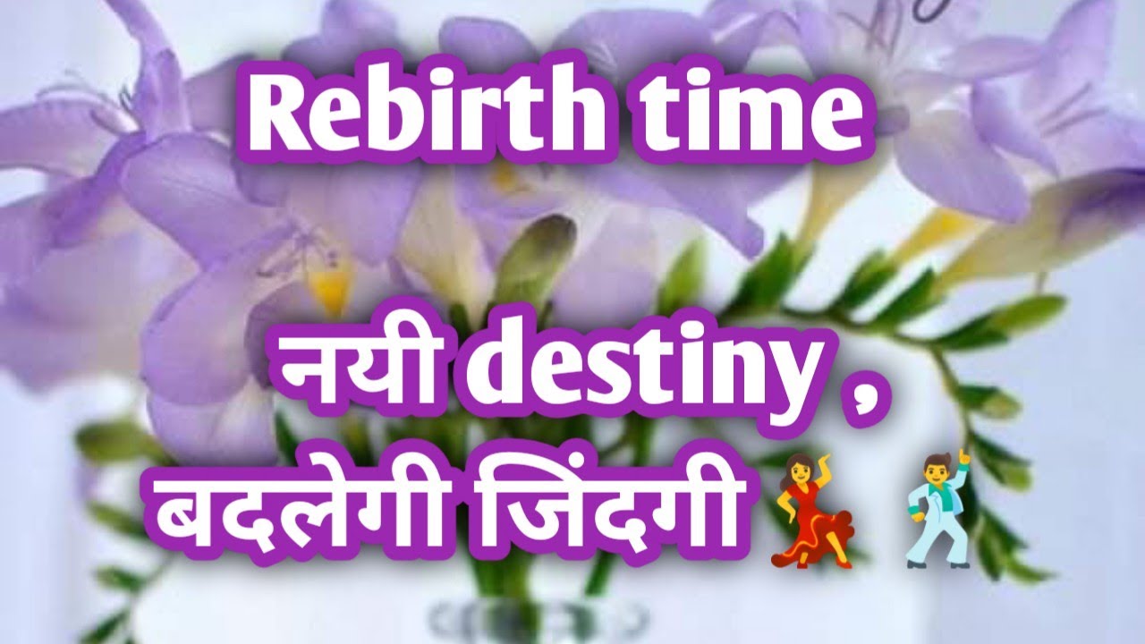 🌻Rebirth Time,New Destiny Beautifully designed Your Life#destiny# ...