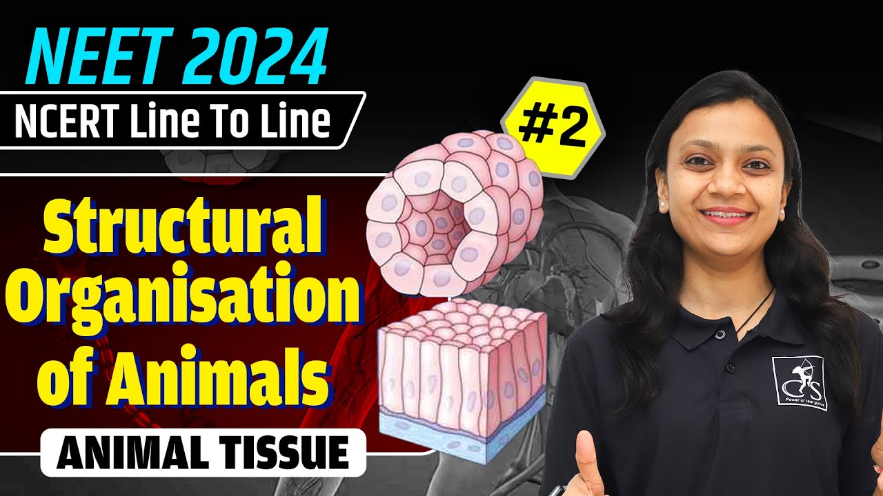 Animal Tissues - 2 | Structural Organization in Animals | NCERT line by ...