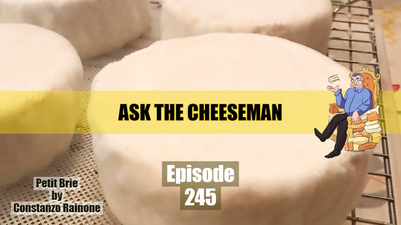 🔴 Ask the Cheeseman #245 - YouTube