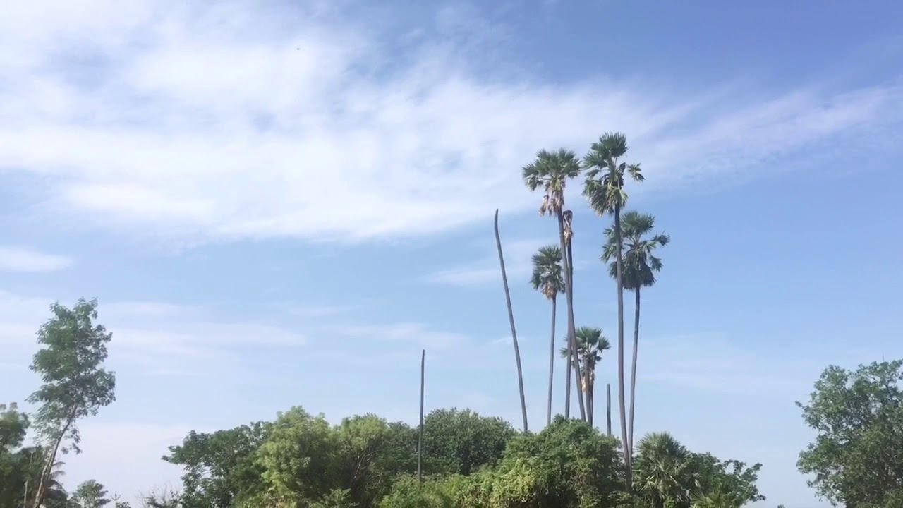 Vellakovil kabaddi ground - YouTube