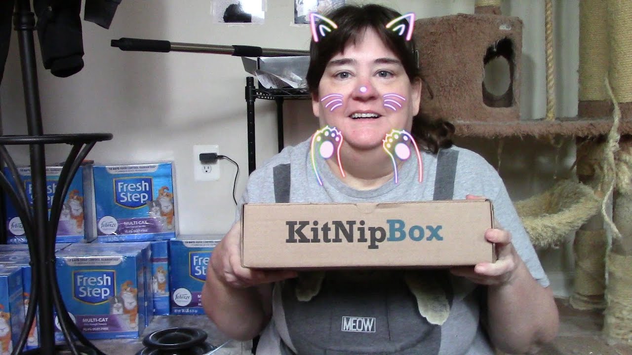 Kitnip Replacement Box! 😻 - YouTube