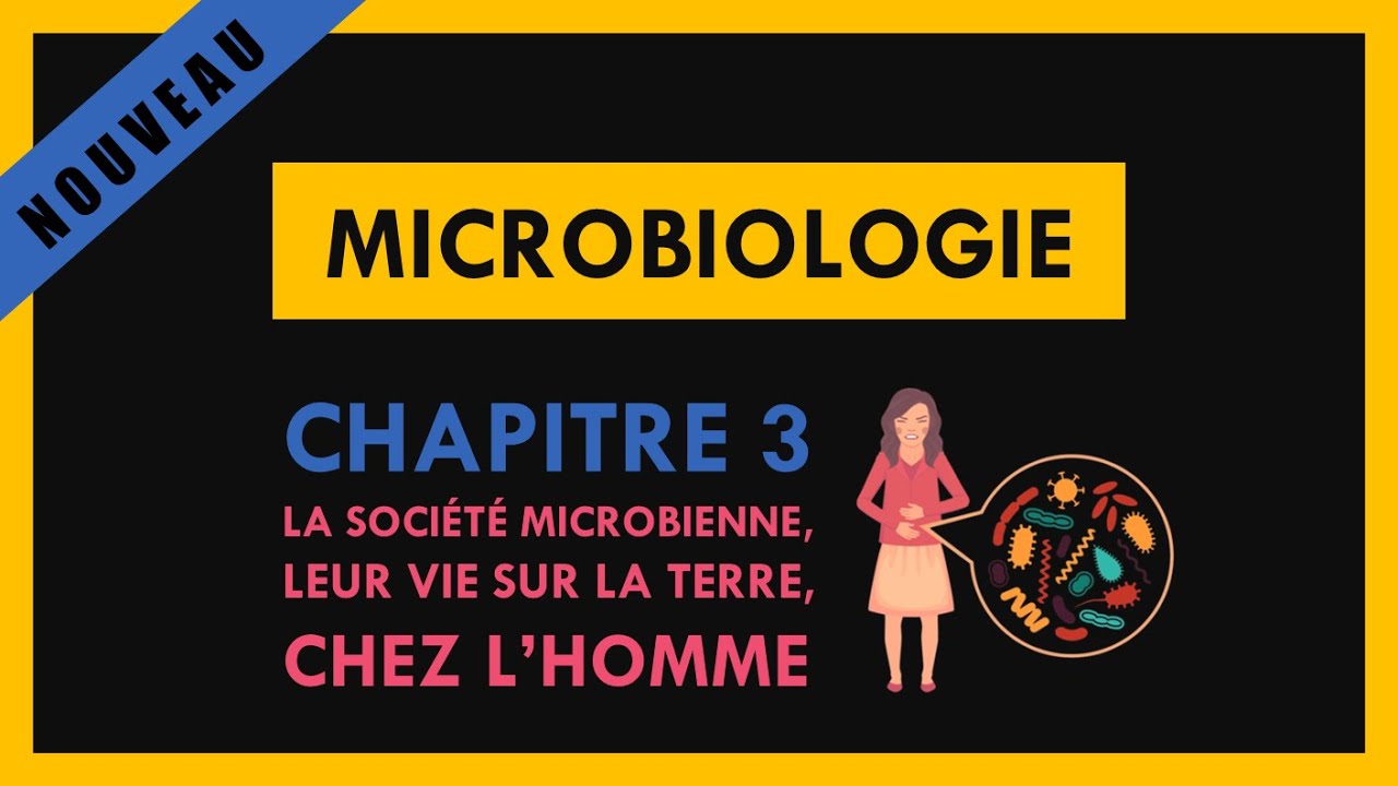 Microbiologie - Chapitre 3 - La société microbienne, leur vie sur la ...