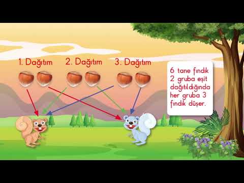 2. Sınıf Matematik - Bölme İşlemi (2)