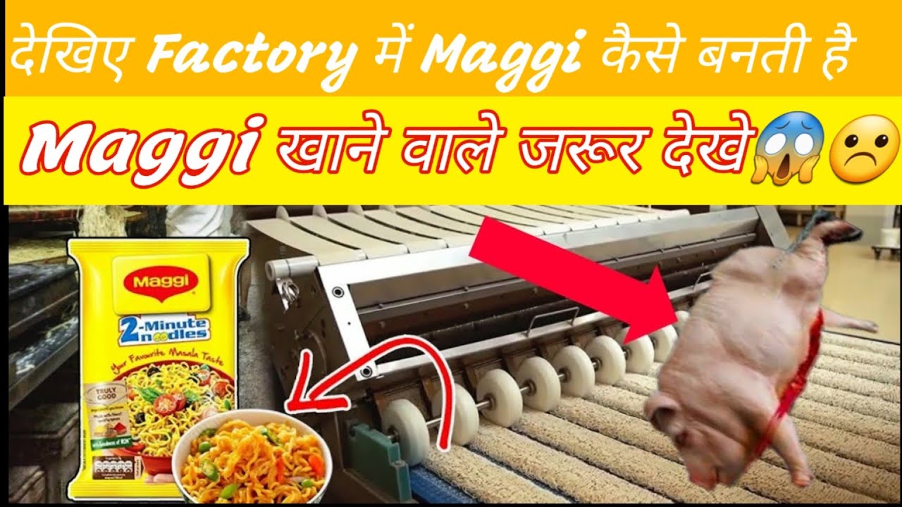 आखिर Factory में कैसे बनती है Maggi😱/See How Maggi is Made in Factory🤔 ...