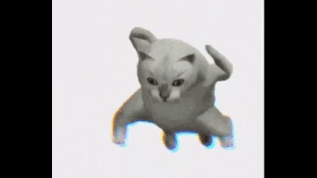 Tweaked out cat dances to funky town but its sped up - YouTube