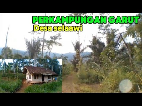 Kampung Paling Pojok Di Desa Selaawi Garut Jawa Barat, - YouTube