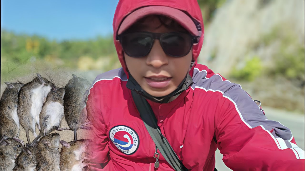 Awk ve leh nual e! Chawilungah keimahin Sazu Thang kamin zan 3 ka riak| PART #1| MIZO RATS ...