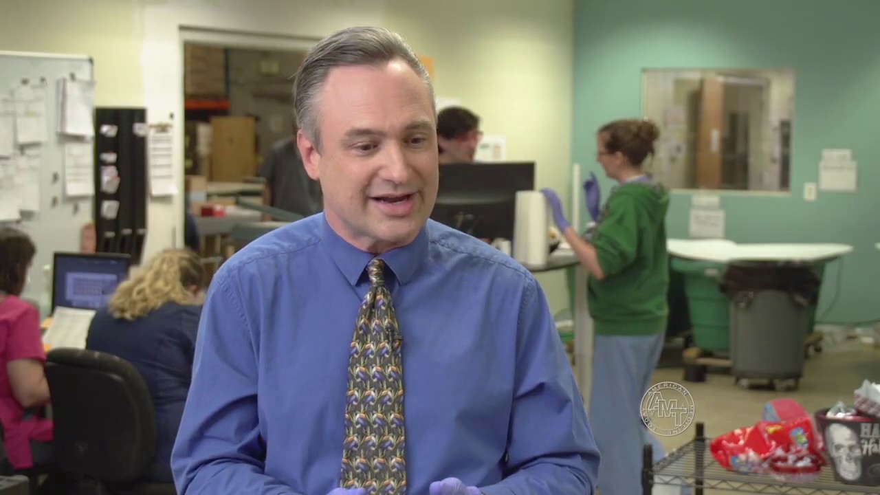 American Medicine Today: ep136 - Syndaver - Feline and Equine Synthetic ...