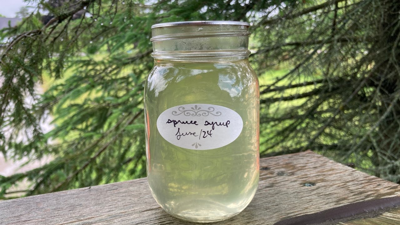 🌲DIY spruce syrup recipe // foraged food // seasonal recipe // filling ...