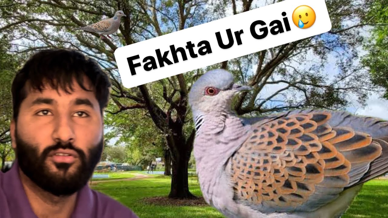 Fakhta Ur gai....😫 - YouTube