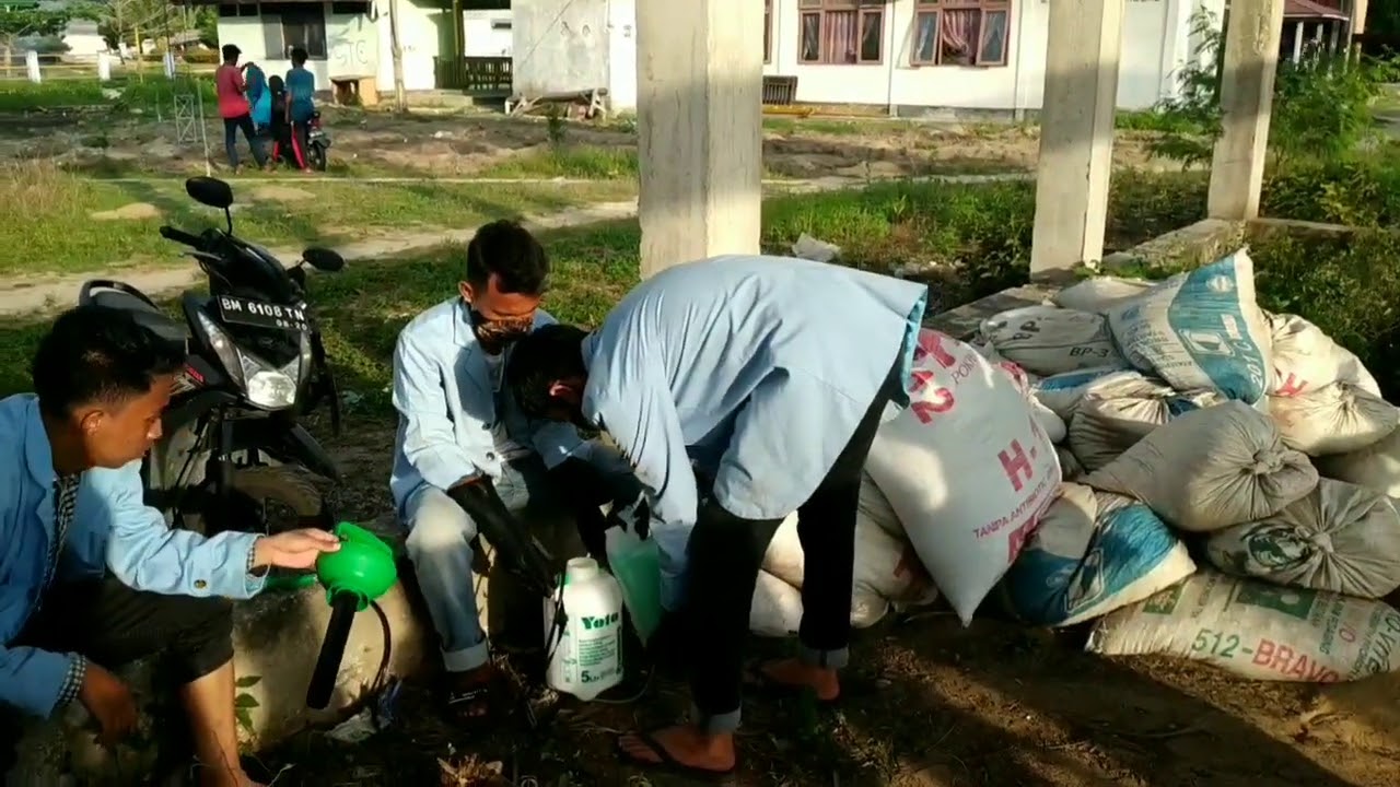 TEKNOLOGI PENGOLAHAN BATTANG KELAPA SAWIT UNTUK USAHA MEBEL DEKORATIF ...