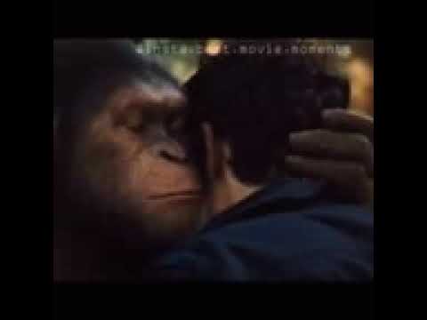 Marnoldansanmi at yetim