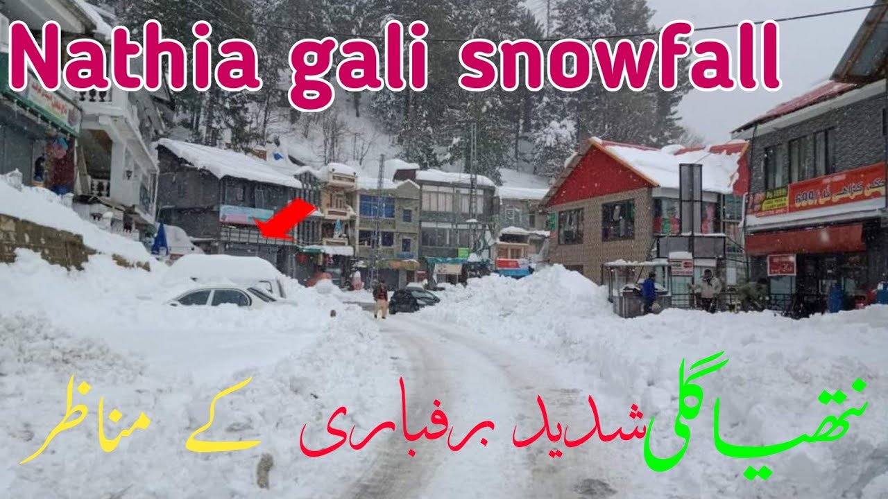 Nathia gali live Snowfall | Nathia gali weather | Murree weather update ...